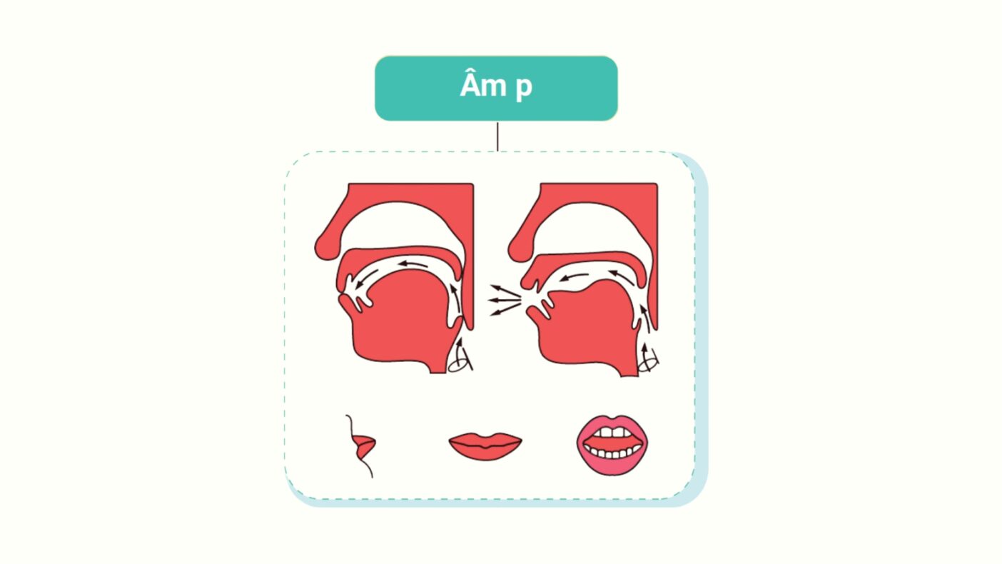 3+ cách học phát âm Tiếng Trung chuẩn hiệu quả nhất cho người mới bắt đầu